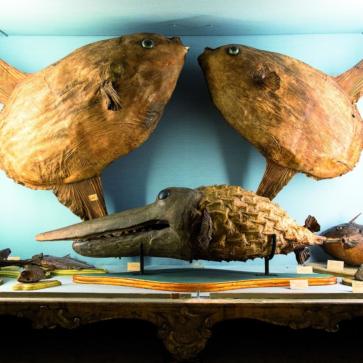 Intervista a Italo Rota sull’architettura ludica | Artribune