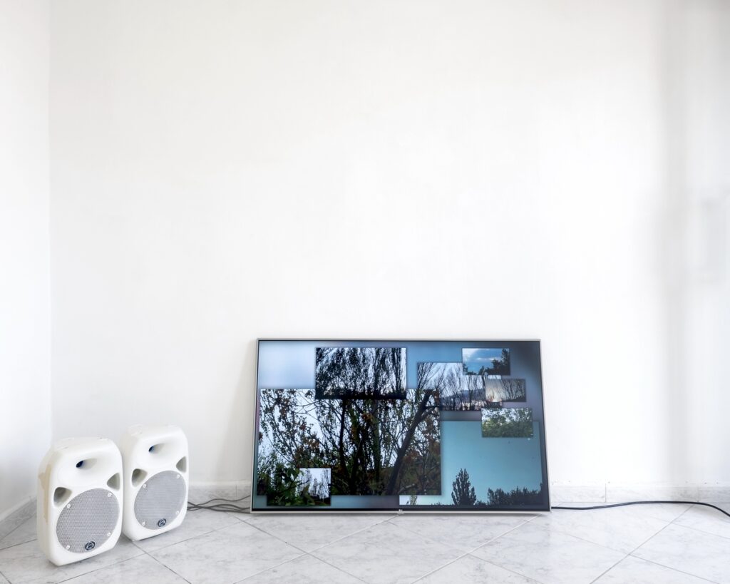 Intervista all’artista Alessandro Manfrin | Artribune