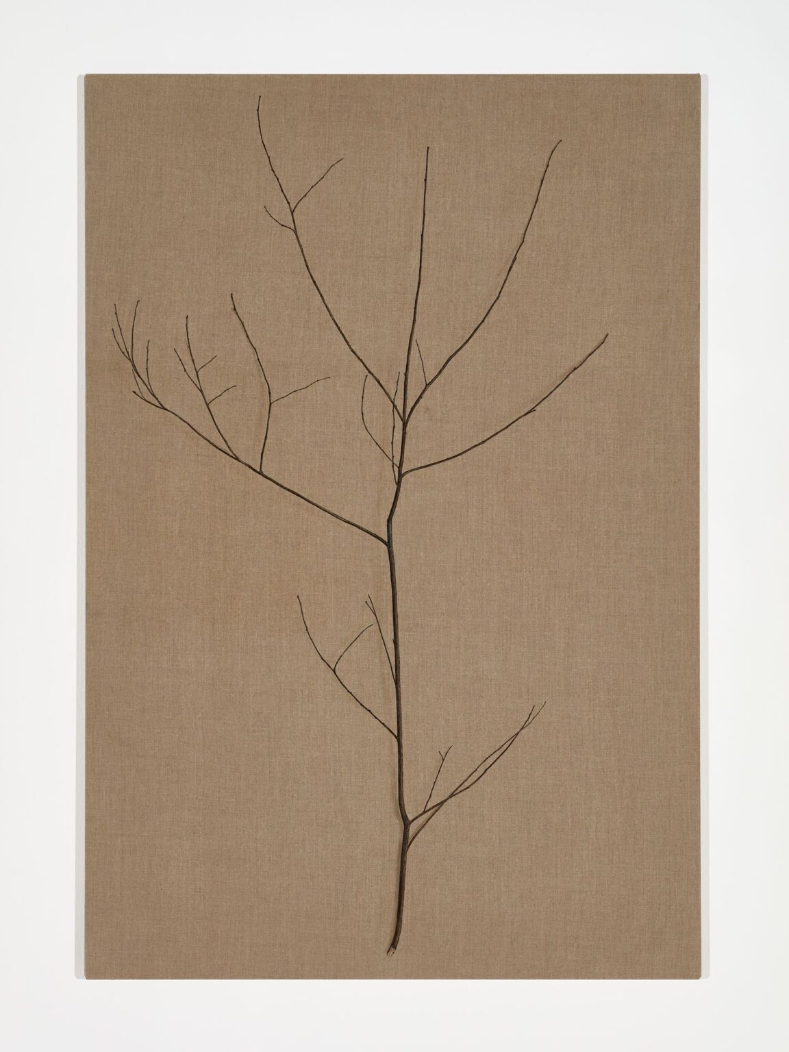 Helene Appel e Mairead O'hEocha da P420 a Bologna | Artribune