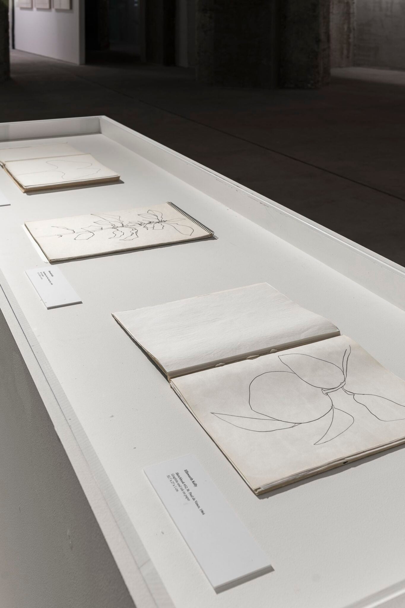La mostra su Ellsworth Kelly a Roma | Artribune