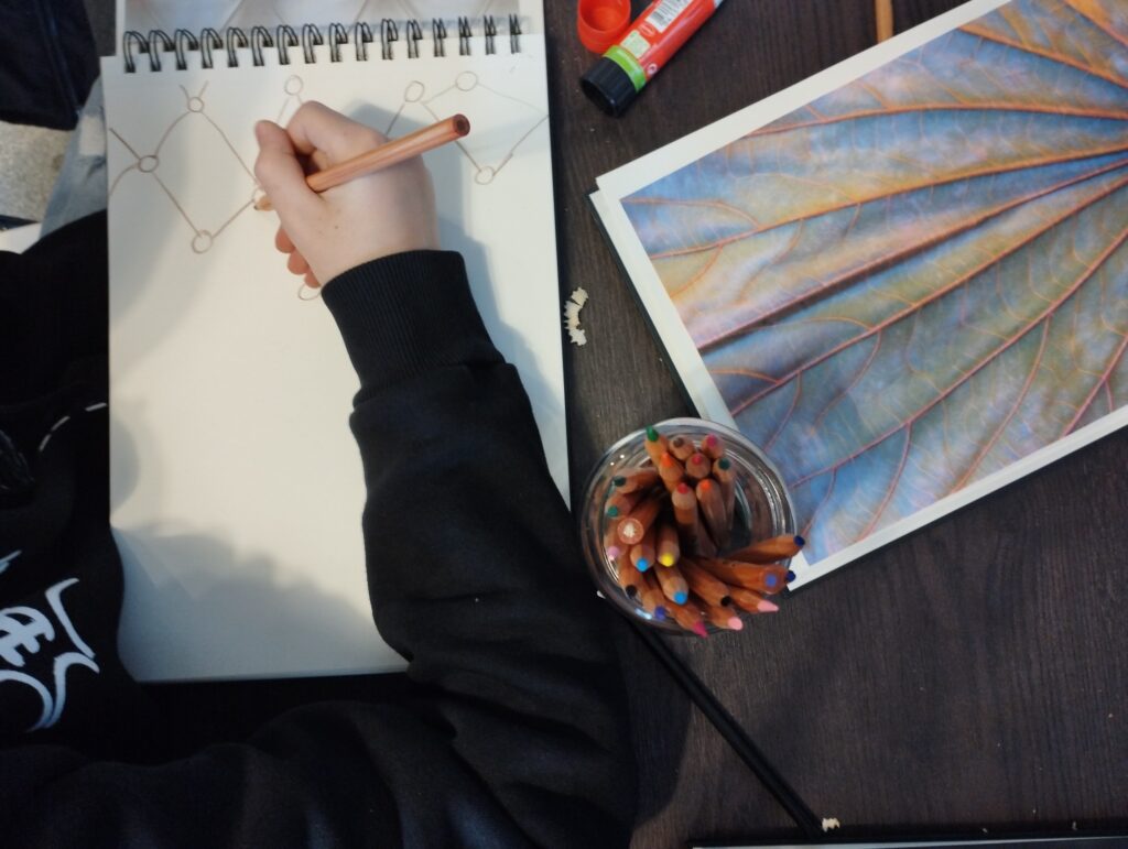 A Villa Medici la mostra “A variety of things”