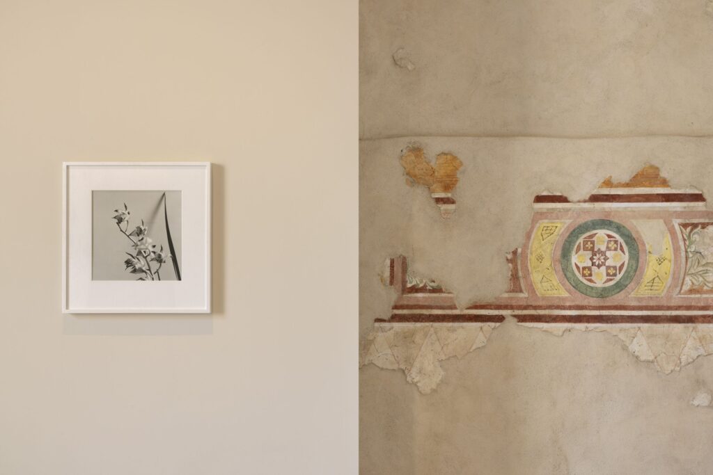 La mostra Oltre il buio alla Rocca di Angera | Artribune