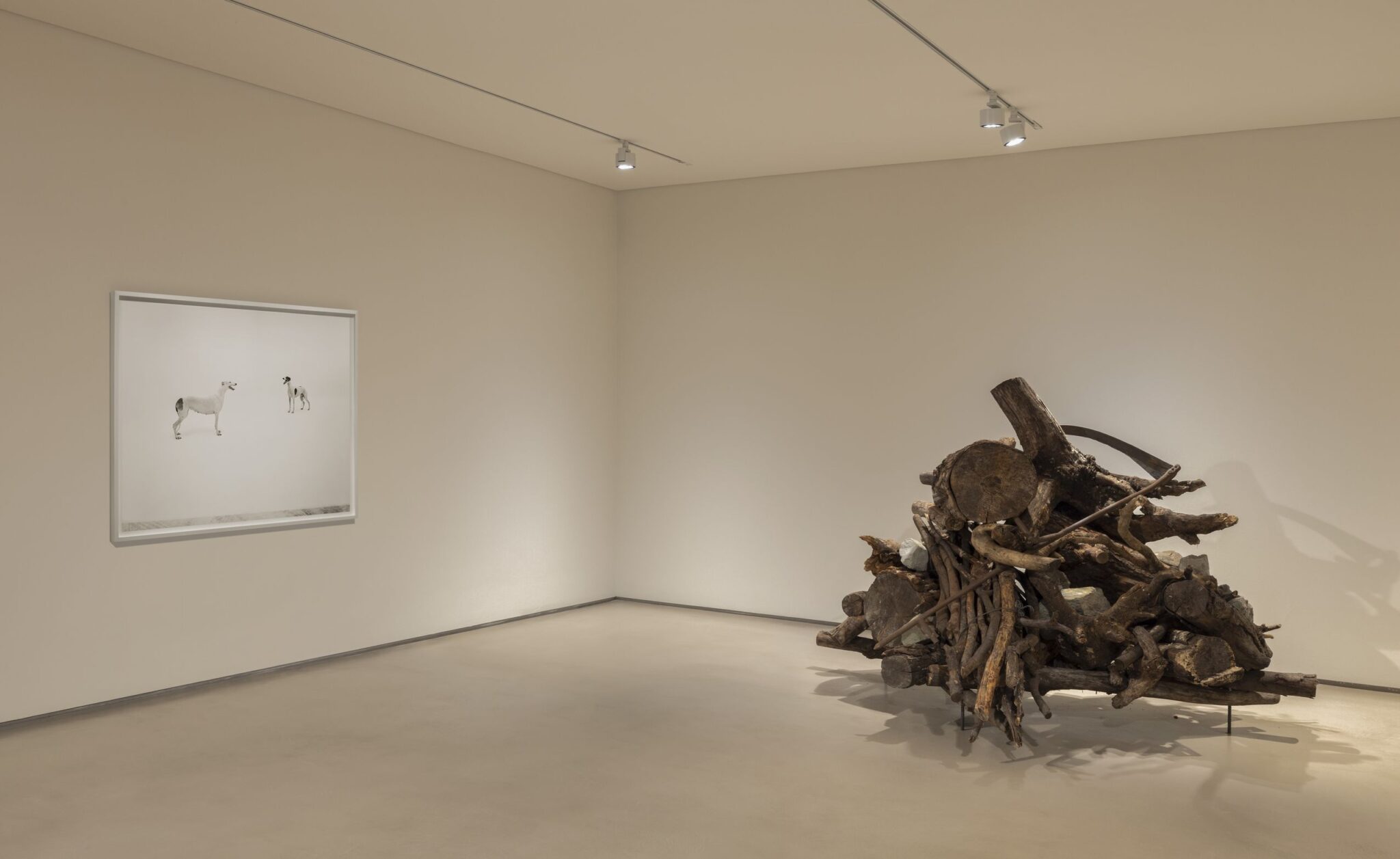 La mostra Oltre il buio alla Rocca di Angera | Artribune