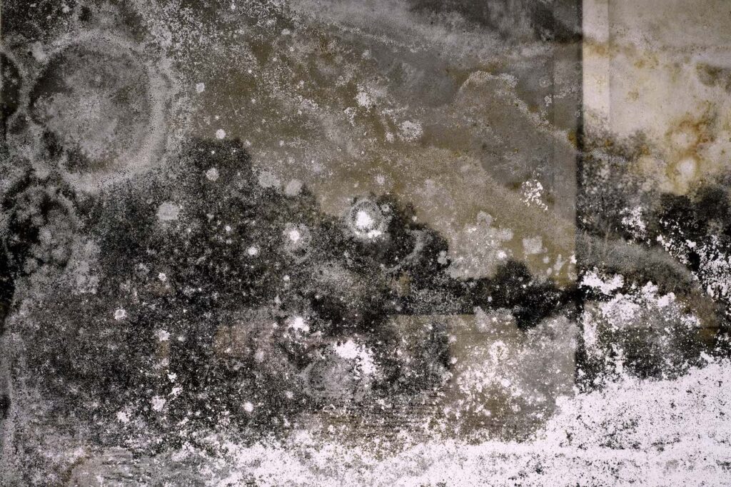 La mostra di Joan Fontcuberta alle Zitelle a Roma | Artribune
