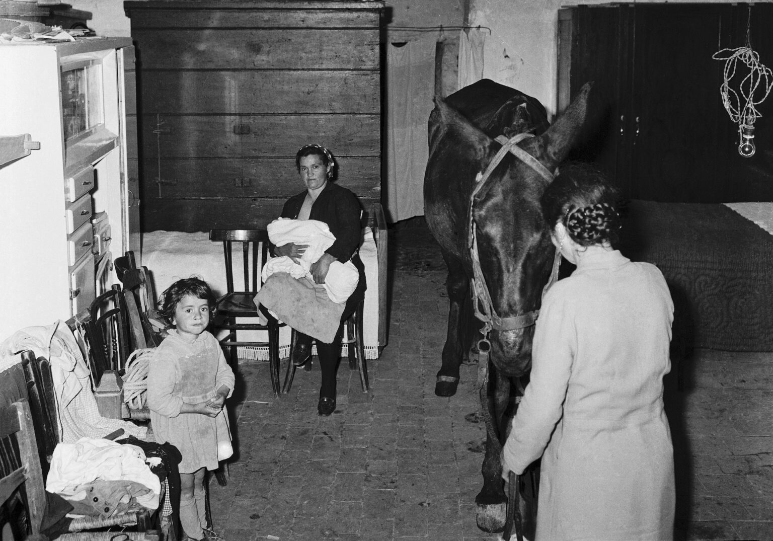 I dimenticati dell’arte. Domenico Notarangelo, fotografo del mondo ...