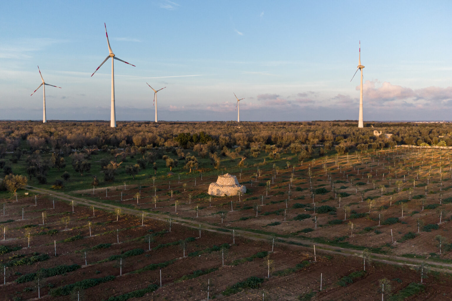 Fotografia Calabria Festival: il programma