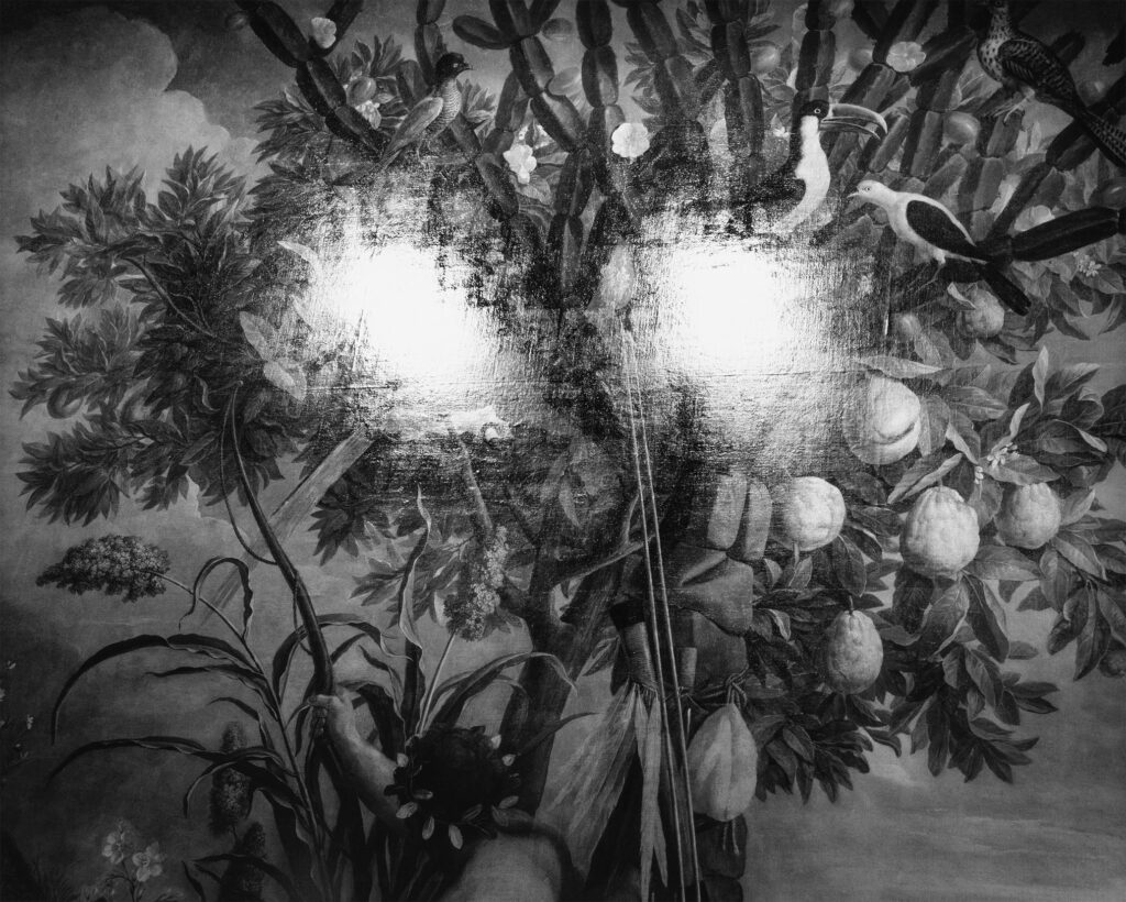 La mostra su Mimmo Jodice alle Gallerie d’Italia di Torino | Artribune