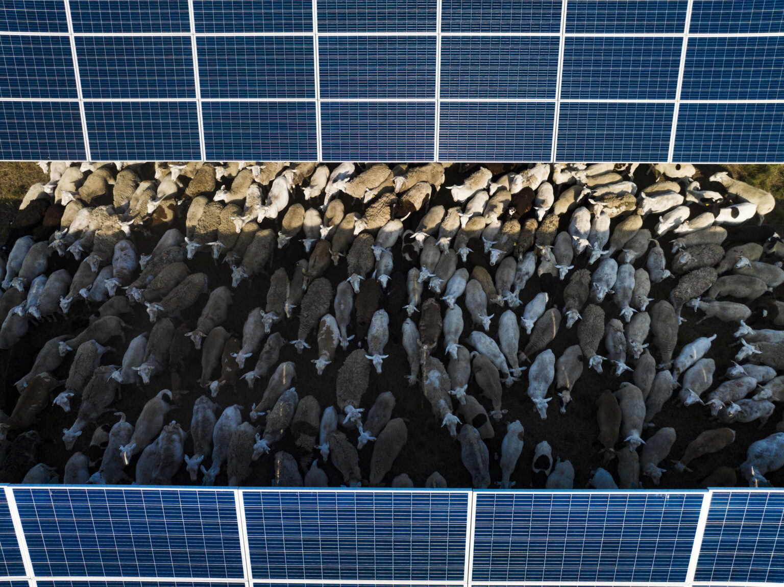 Intervista al fotografo Stefano Guindani sul progetto Time to Change | Artribune