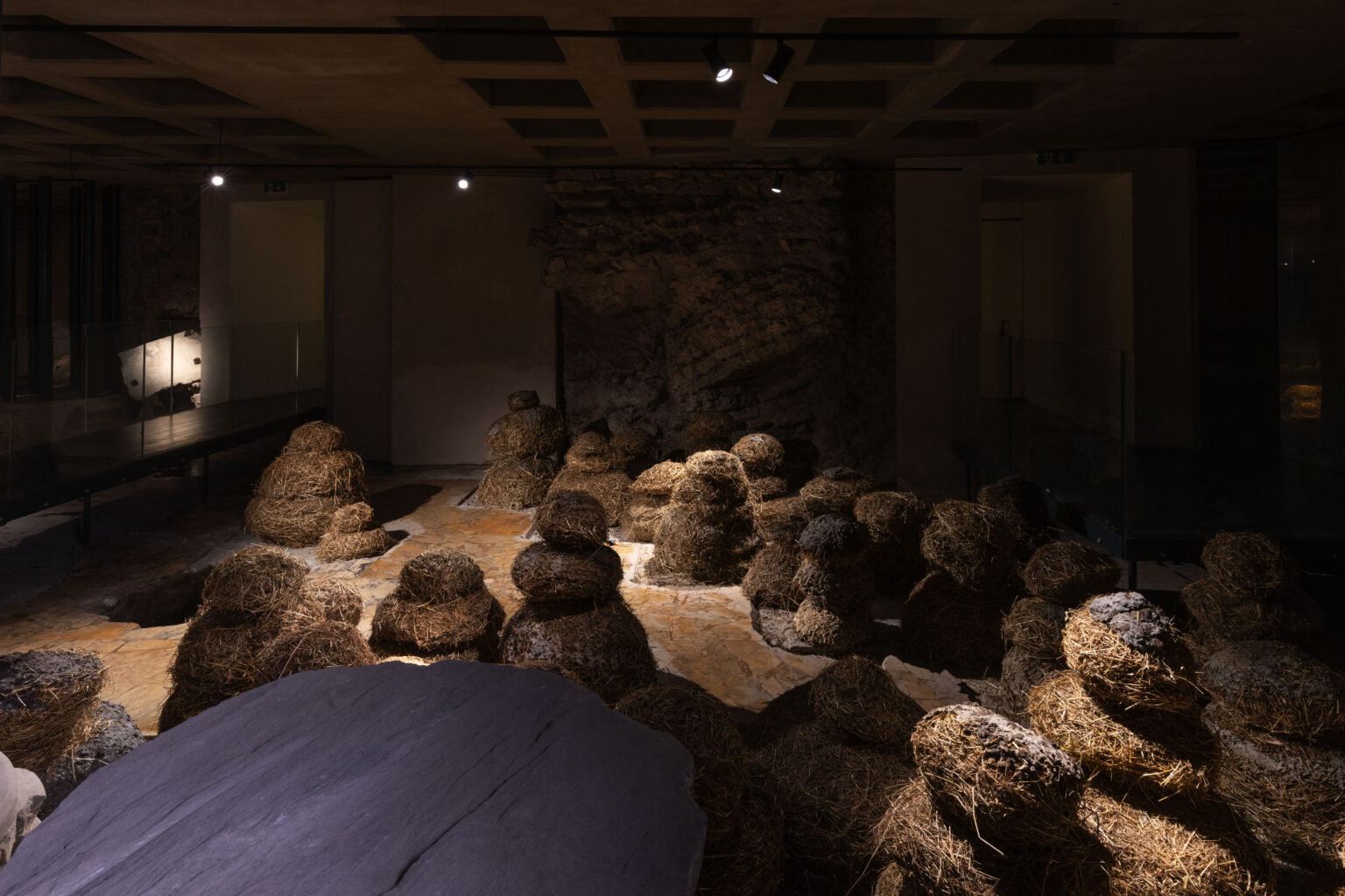 La mostra di Augustas Serapinas da Forof a Roma