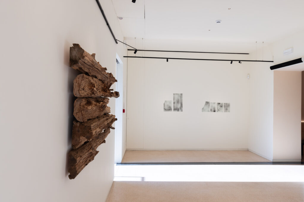 La mostra di Augustas Serapinas da Forof a Roma
