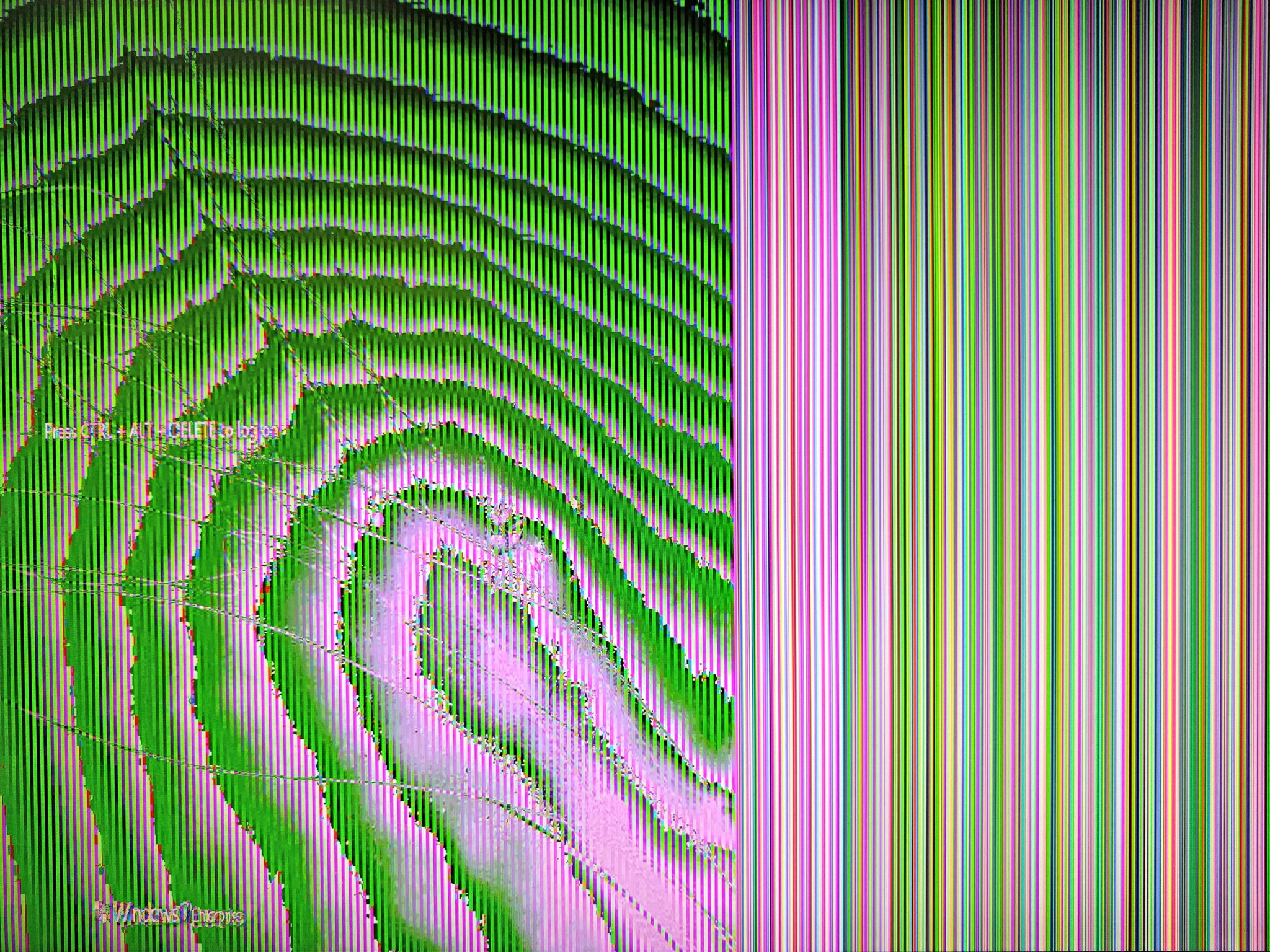 Nightshade, l'avvelenatore di immagini per IA