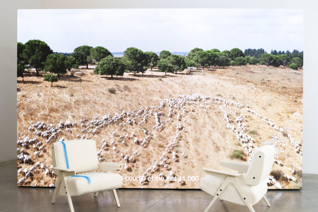 Best of design 2023 in otto punti