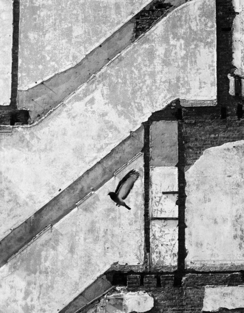 La mostra André Kertész. L’opera 1912-1982 da Camera