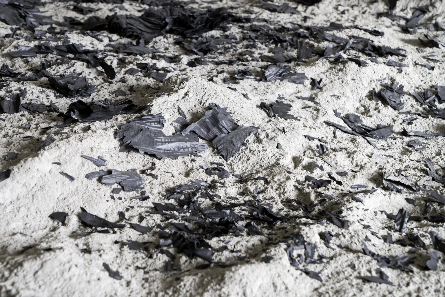 Damasa di Gian Maria Tosatti acquisita dal museo di Capodimonte a Napoli