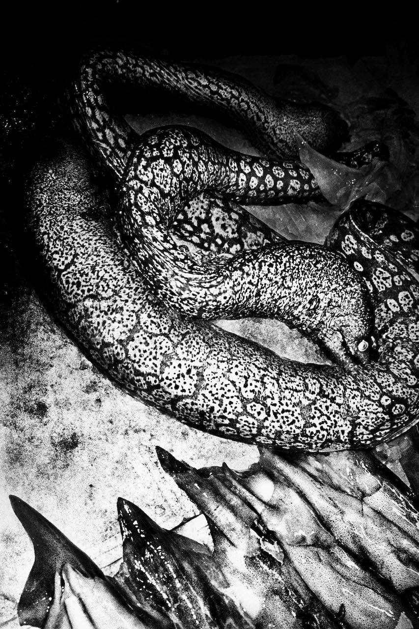 Intervista al fotografo Anders Petersen in mostra a Napoli | Artribune