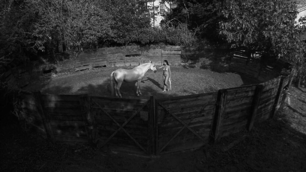 L’esperienza di RAVE in un libro | Artribune