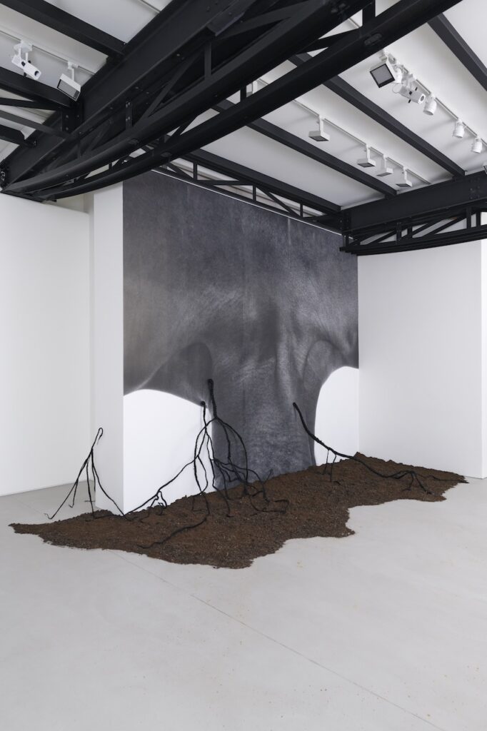 Intervista all’artista Binta Diaw | Artribune