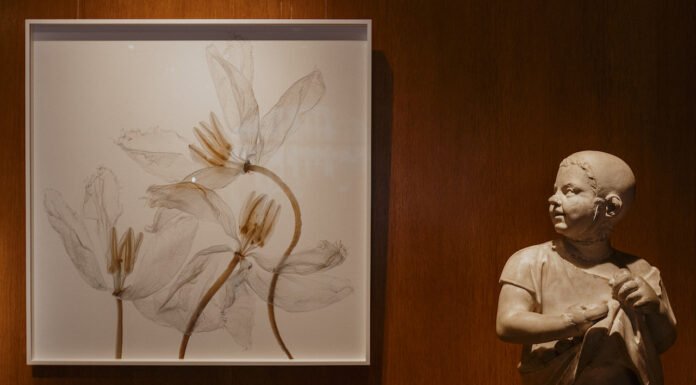 La mostra “Time Future” da Alberto Di Castro a Roma | Artribune