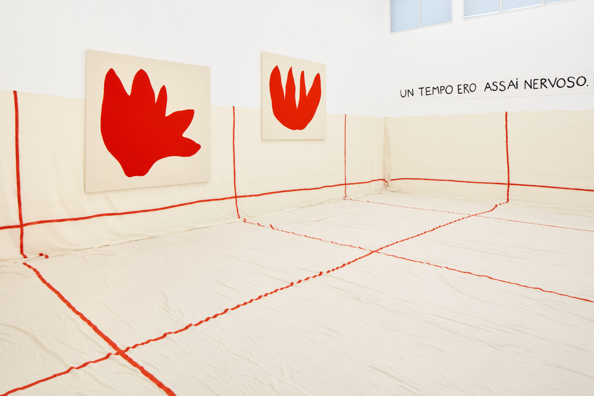 Intervista all’artista Adelaide Cioni | Artribune
