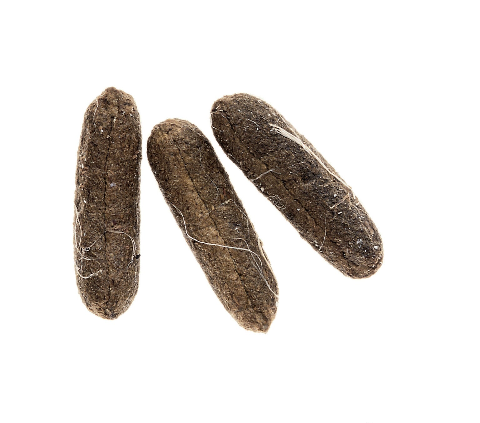 È sulla cacca la nuova mostra di Oliviero Toscani a Milano