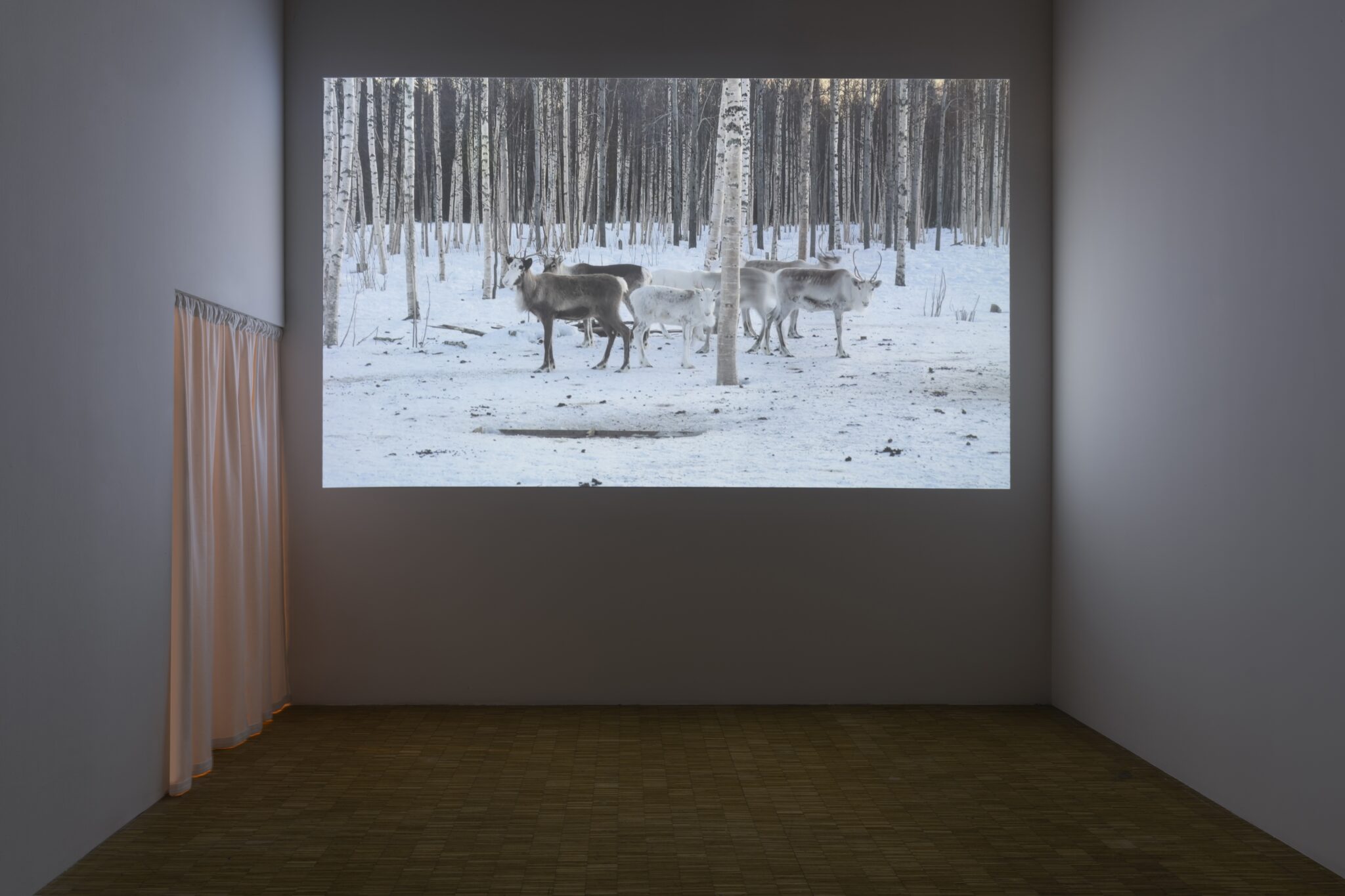 La mostra di Juergen Teller alla Triennale di Milano | Artribune