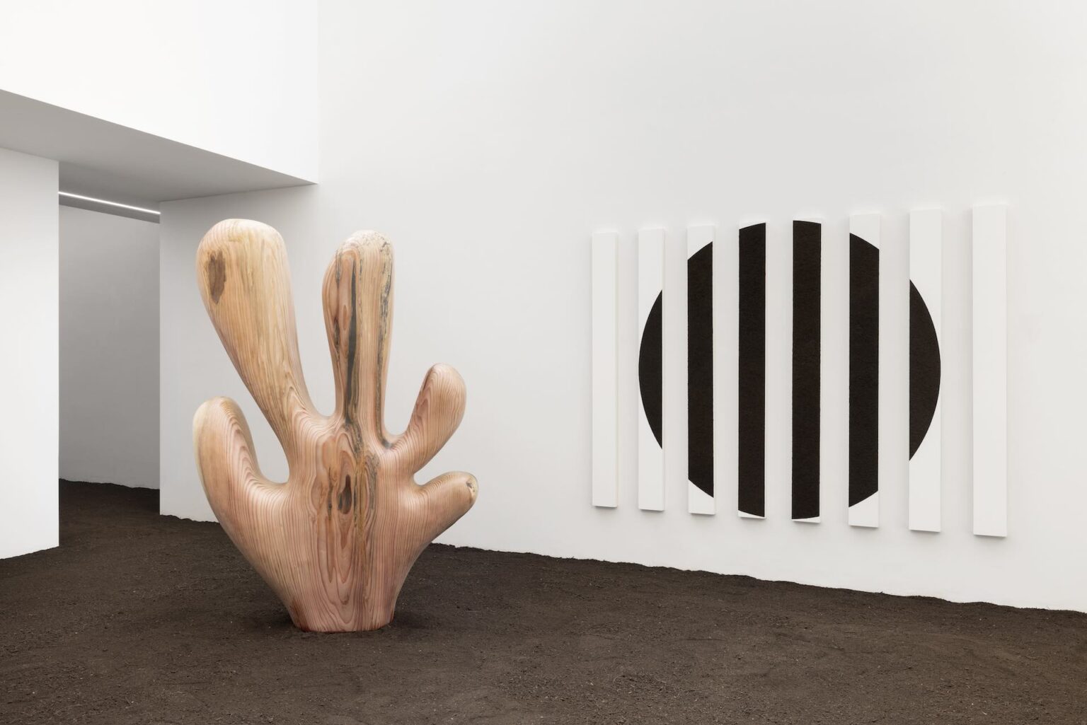 La mostra di Claudia Comte da Vistamare a Milano | Artribune