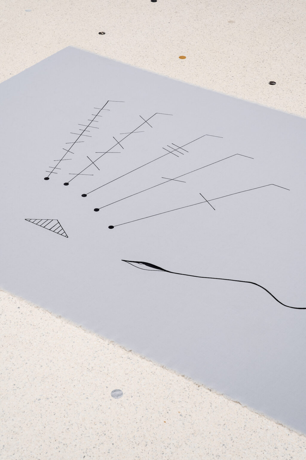 La mostra di Elena Mazzi da Artopia a Milano| Artribune