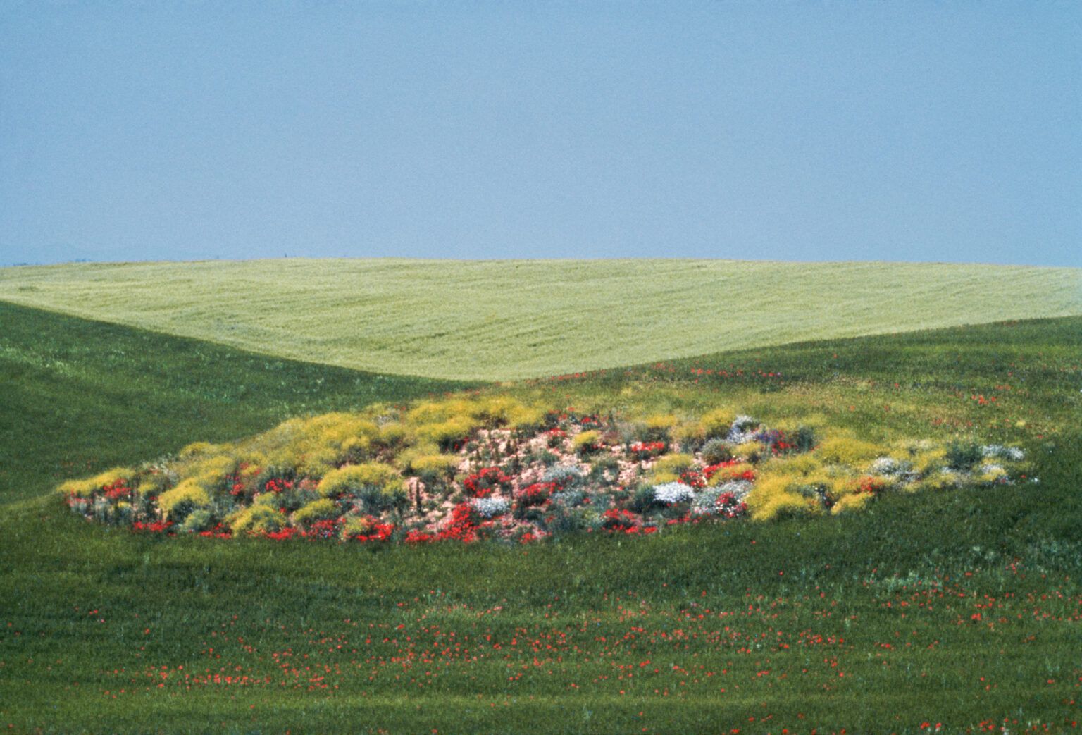 La mostra di Franco Fontana al Museo di Santa Giulia di Brescia| Artribune