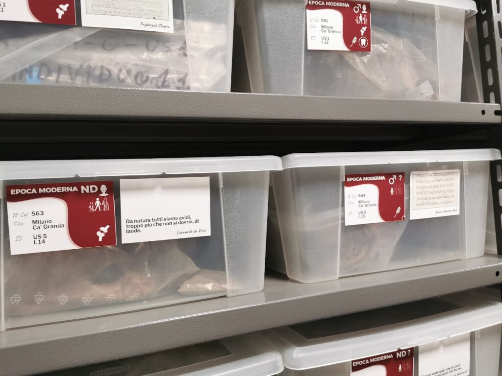 La collezione del Museo MUSA di Milano