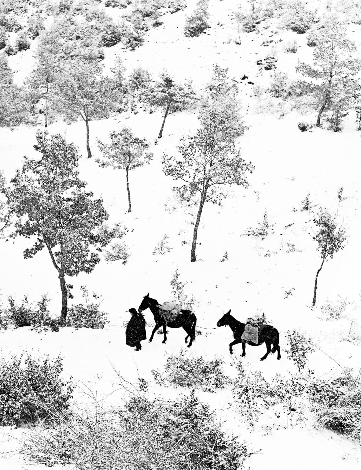 L’Umbria più poetica negli scatti di Fulvio Roiter in mostra a Perugia ...