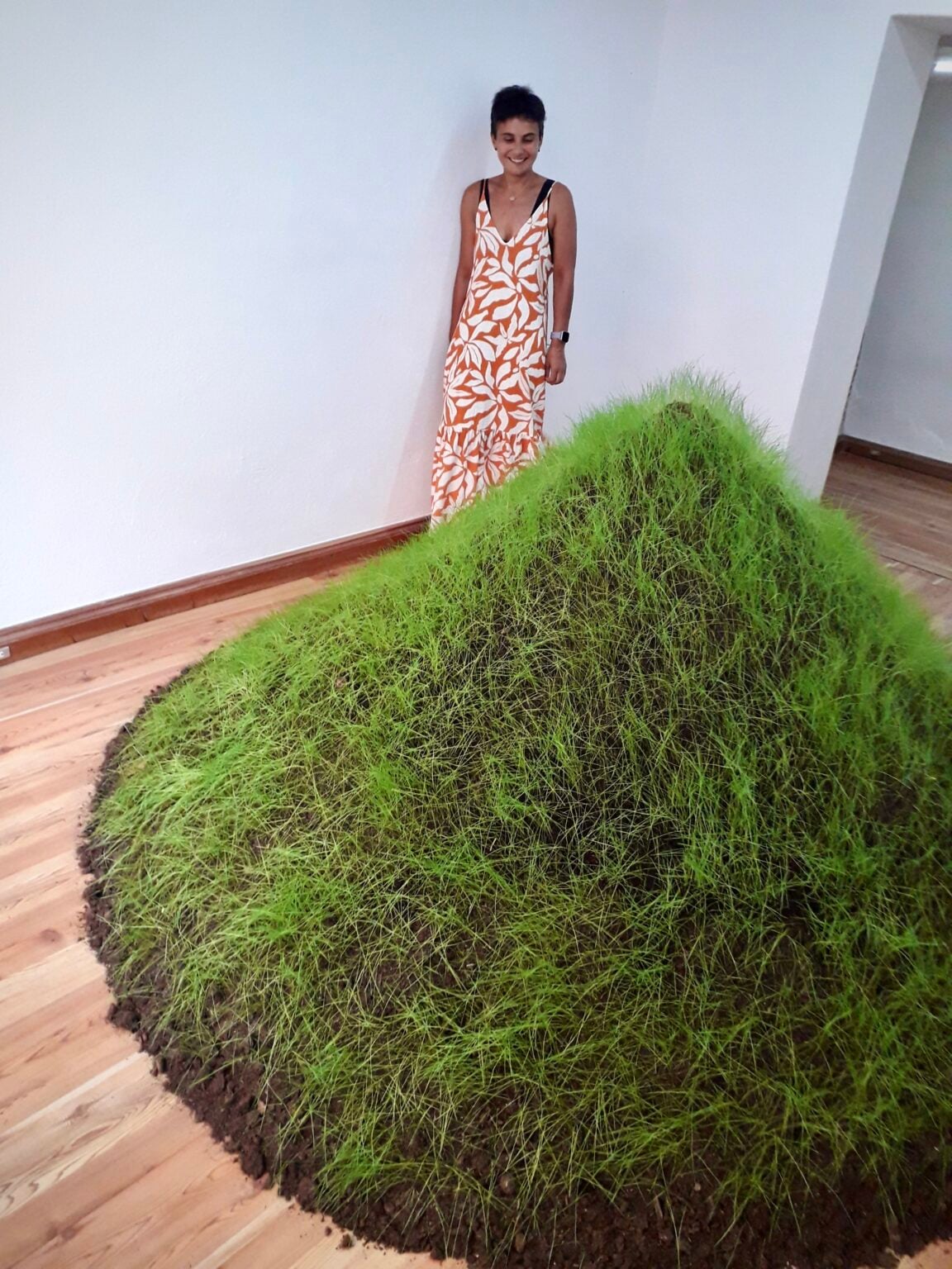 La mostra di Hans Haacke al Museo Burel di Belluno | Artribune