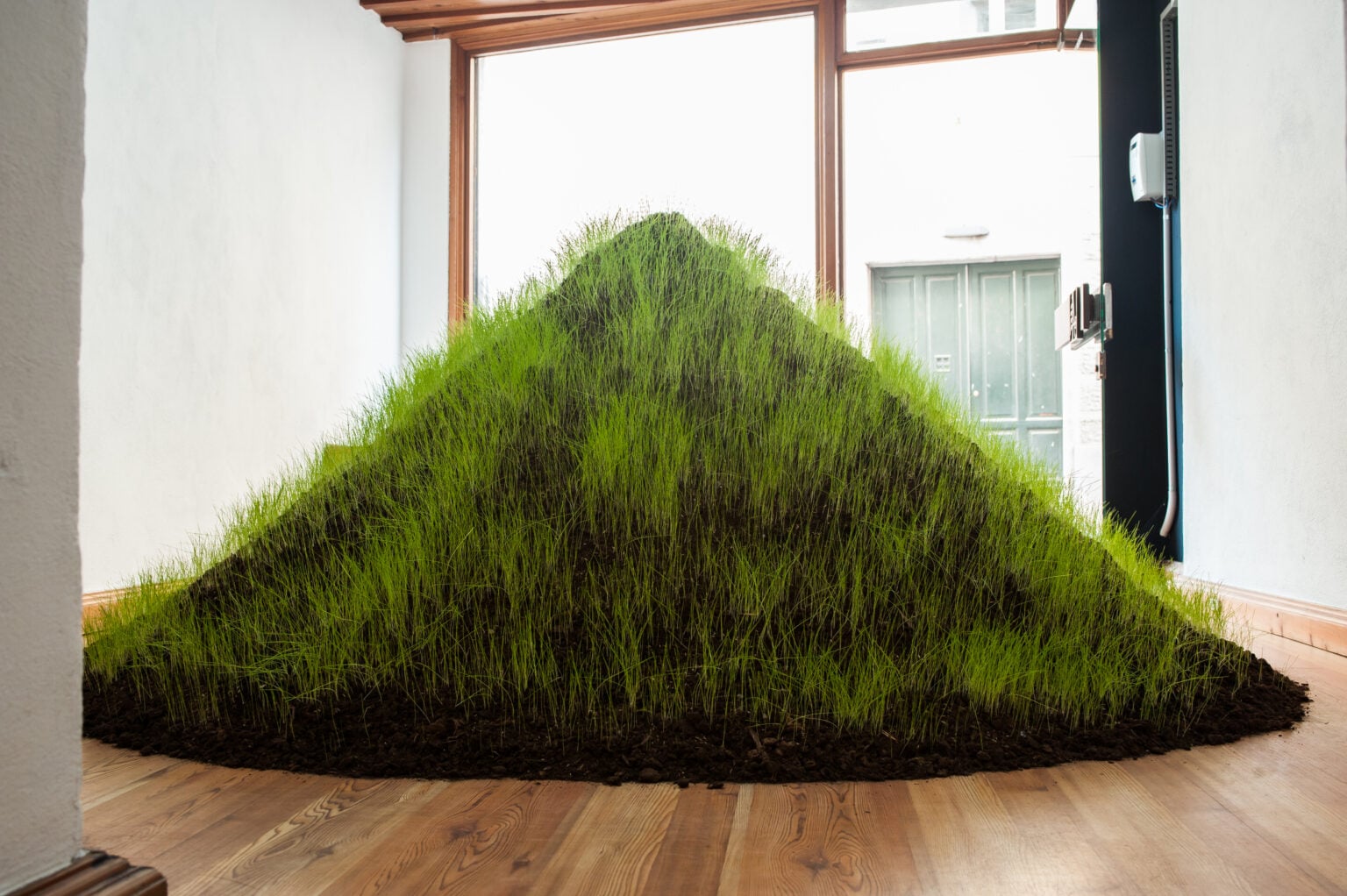 La mostra di Hans Haacke al Museo Burel di Belluno | Artribune