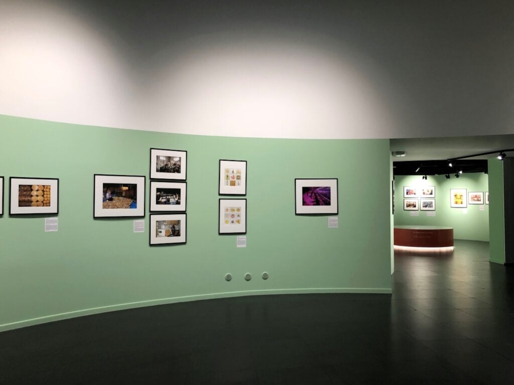 Il nuovo spazio di Earth Foundation a Bologna | Artribune