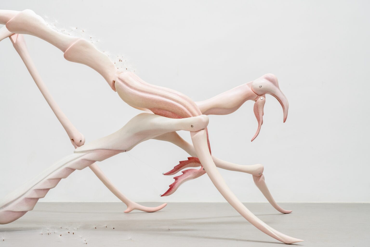 La mostra di Liao Wen da Capsule a Venezia | Artribune