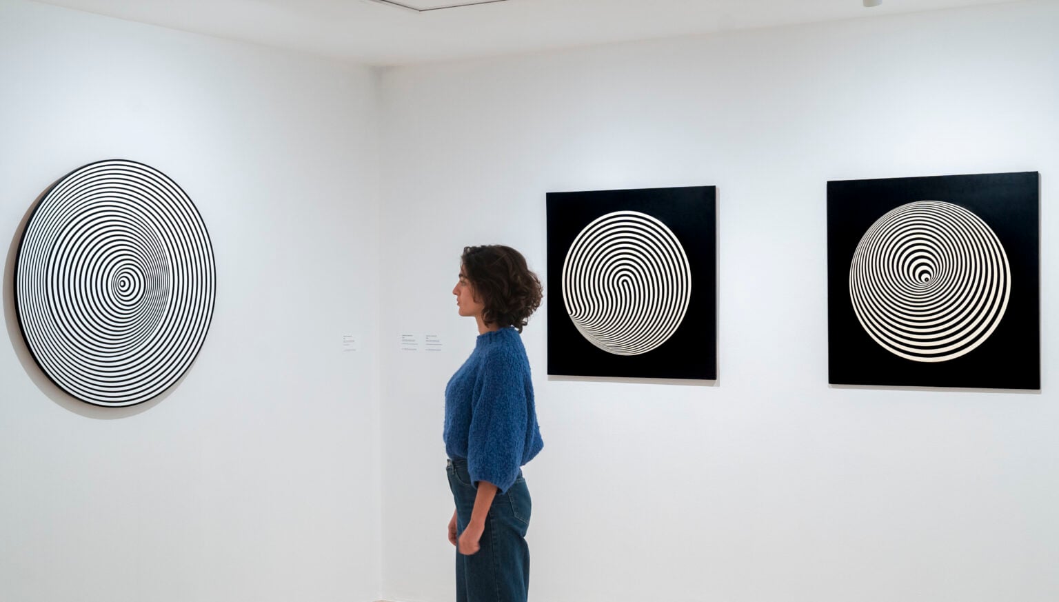 La grande mostra di Marina Apollonio alla Peggy Guggenheim di Venezia ...