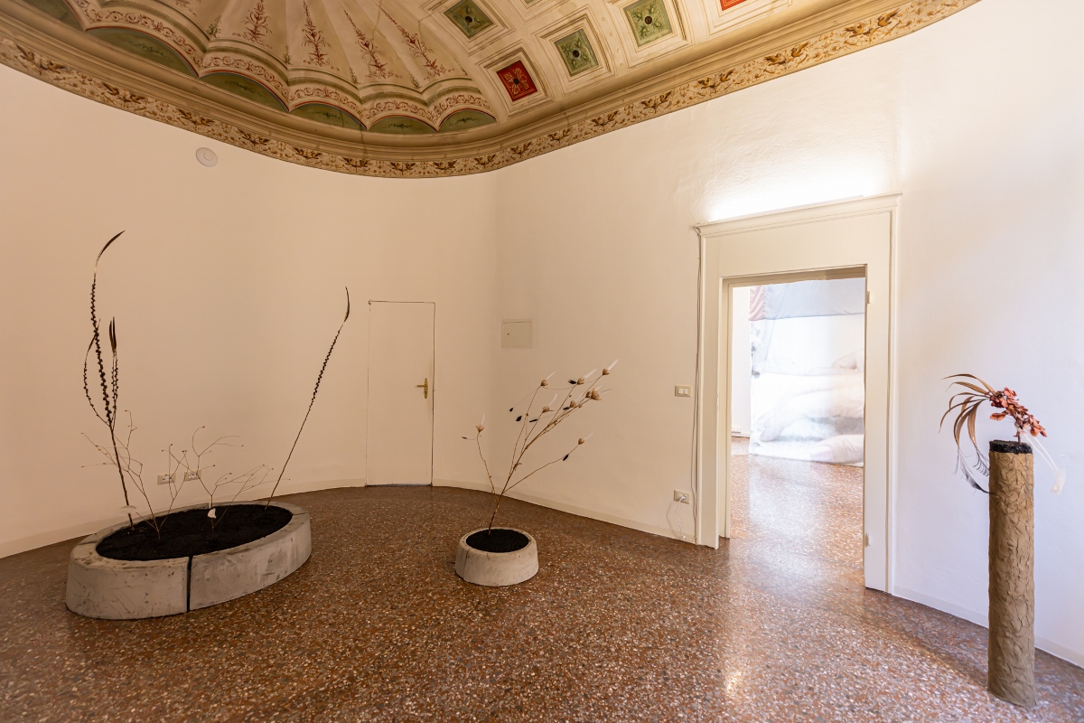 I festival culturali in Italia di dicembre 2024. Il programma e la mappa