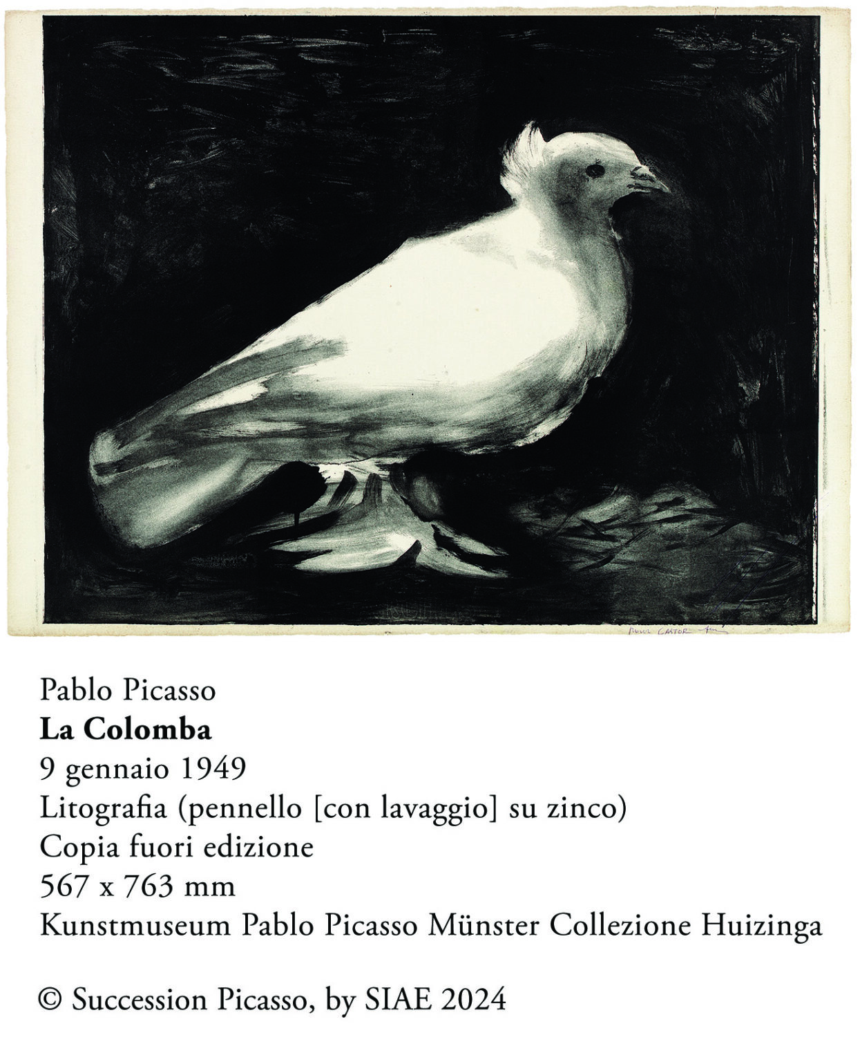 La mostra su Pablo Picasso al Palazzo Reale di Palermo | Artribune