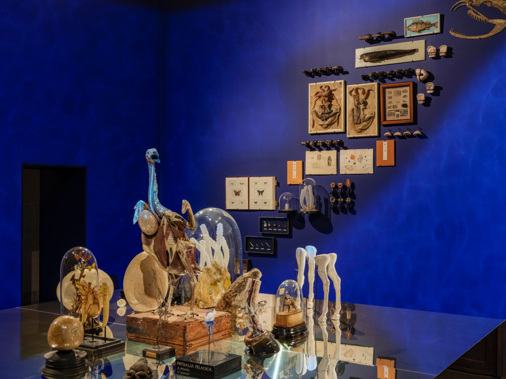La mostra “A Cabinet of Wonders” a Palazzo Grimani a Venezia | Artribune