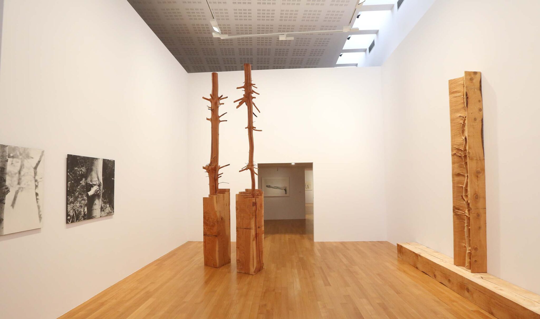 Intervista a Giuseppe Penone | Artribune