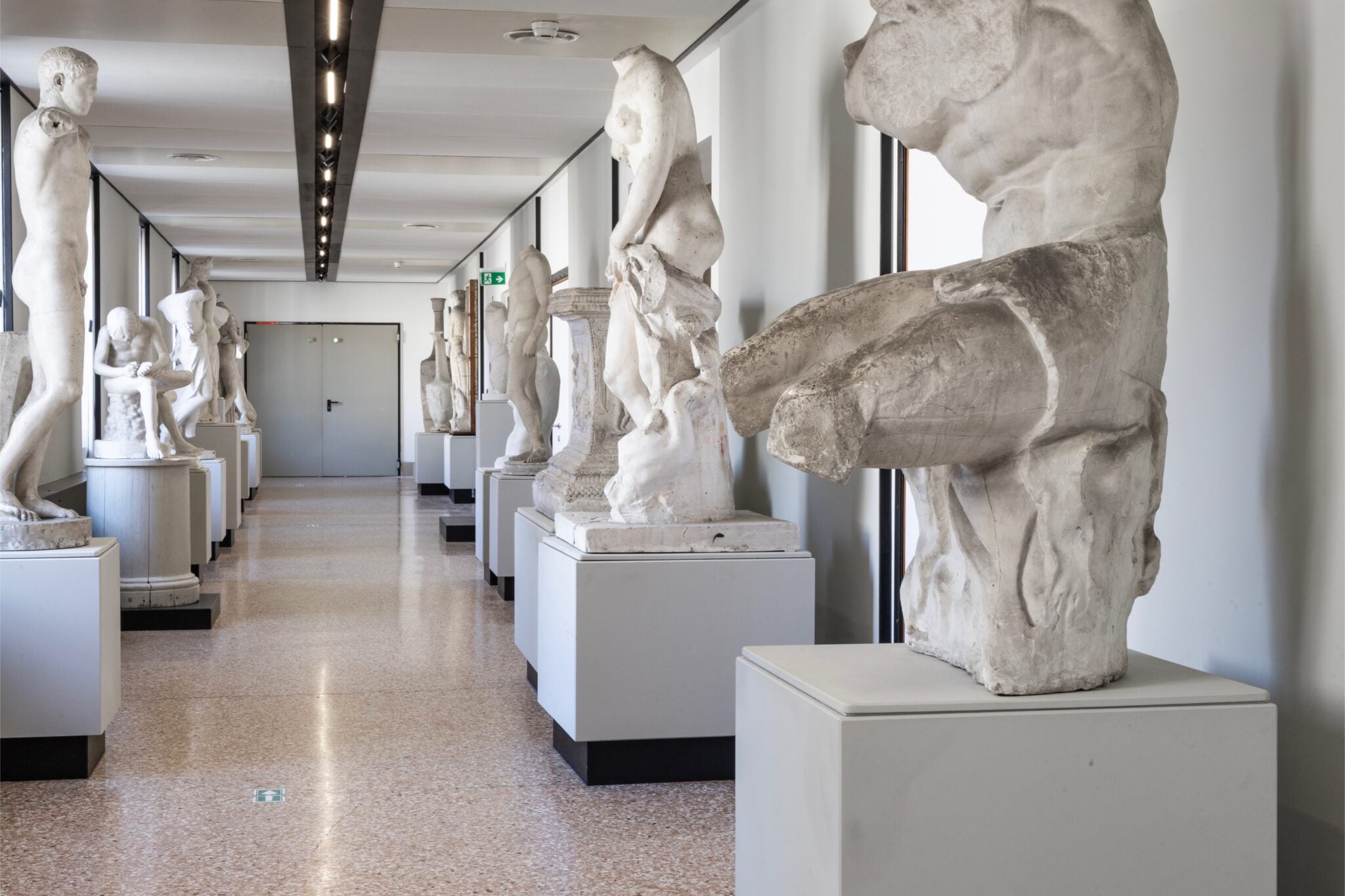 Il riallestimento della Gipsoteca dell'Accademia di Belle Arti di Venezia