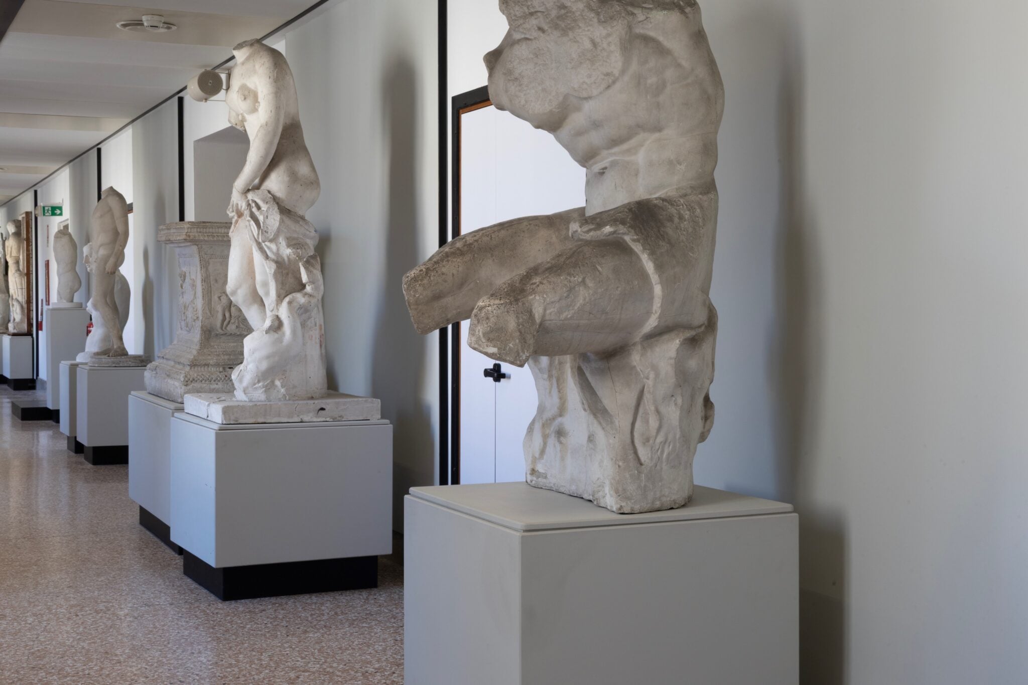 Il riallestimento della Gipsoteca dell'Accademia di Belle Arti di Venezia