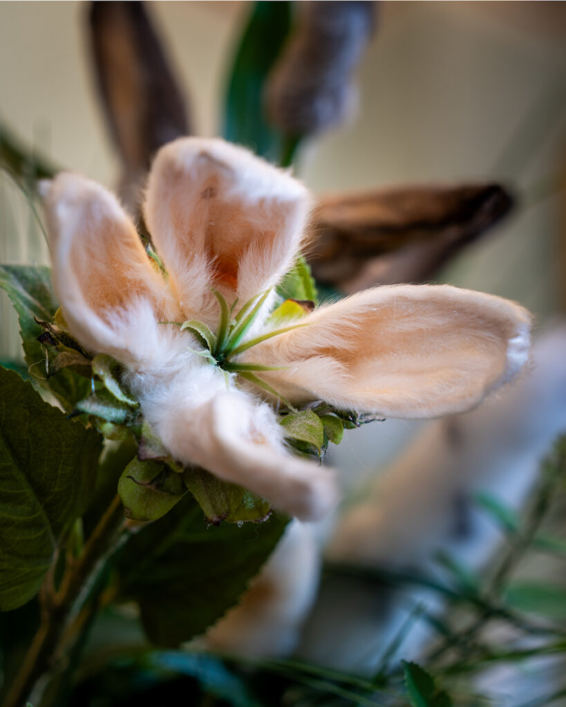 Chiara Lecca in mostra nelle Stanze Segrete del Doria Pamphili di Roma ...