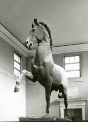 Il restauro del Cavallo Colossale di Antonio Canova a Bassano del Grappa