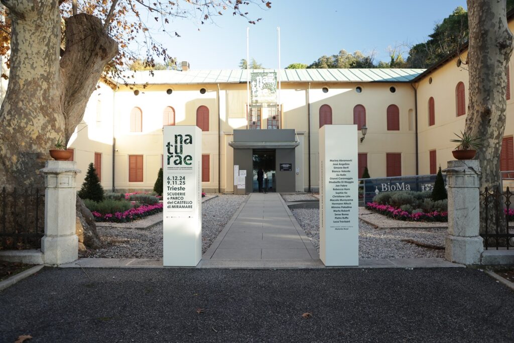 A Trieste la mostra “Naturae. Ambienti di arte contemporanea” | Artribune