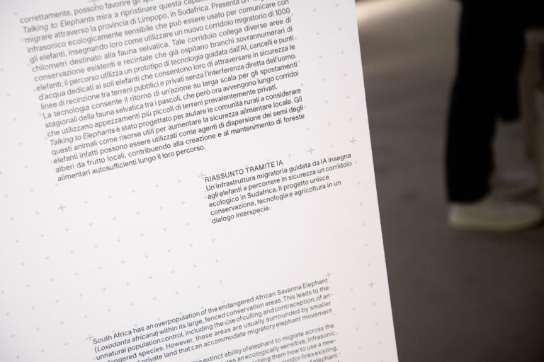 Il meglio e il peggio della Biennale Architettura di Venezia 2025
