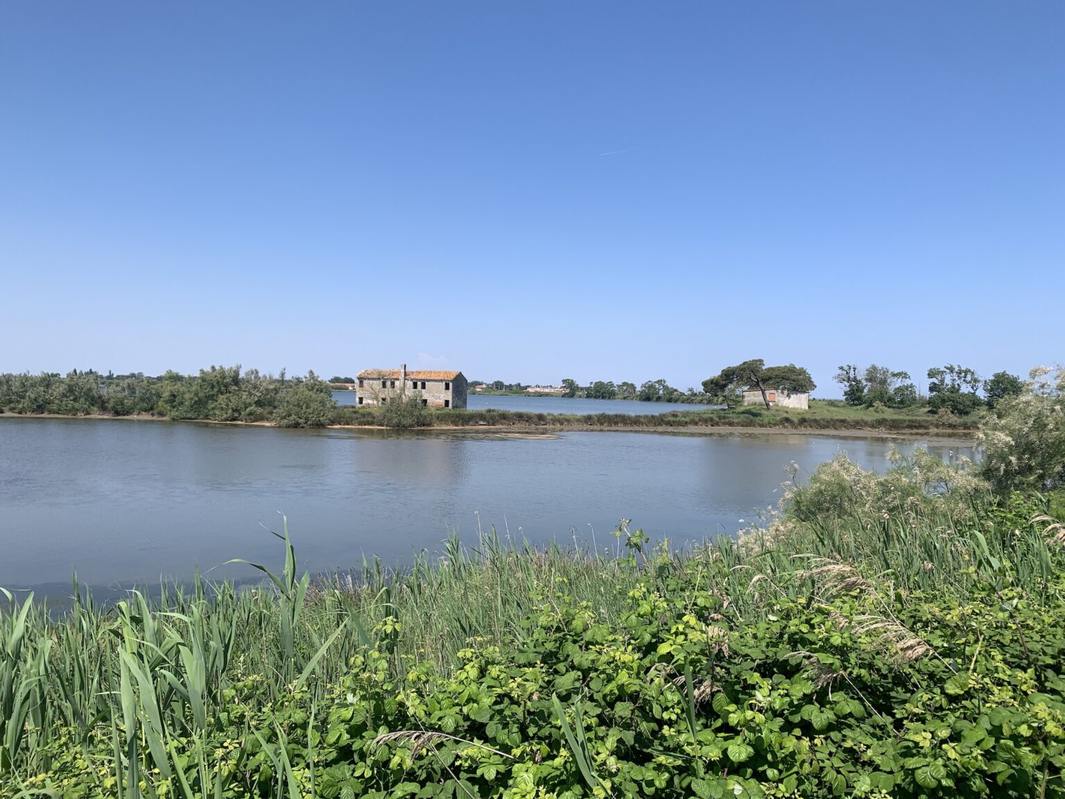L’Isola di Albarella, riserva naturale sul Delta del Po| Artribune