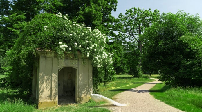 Intervista a Birgit Lohmann di designboom | Artribune