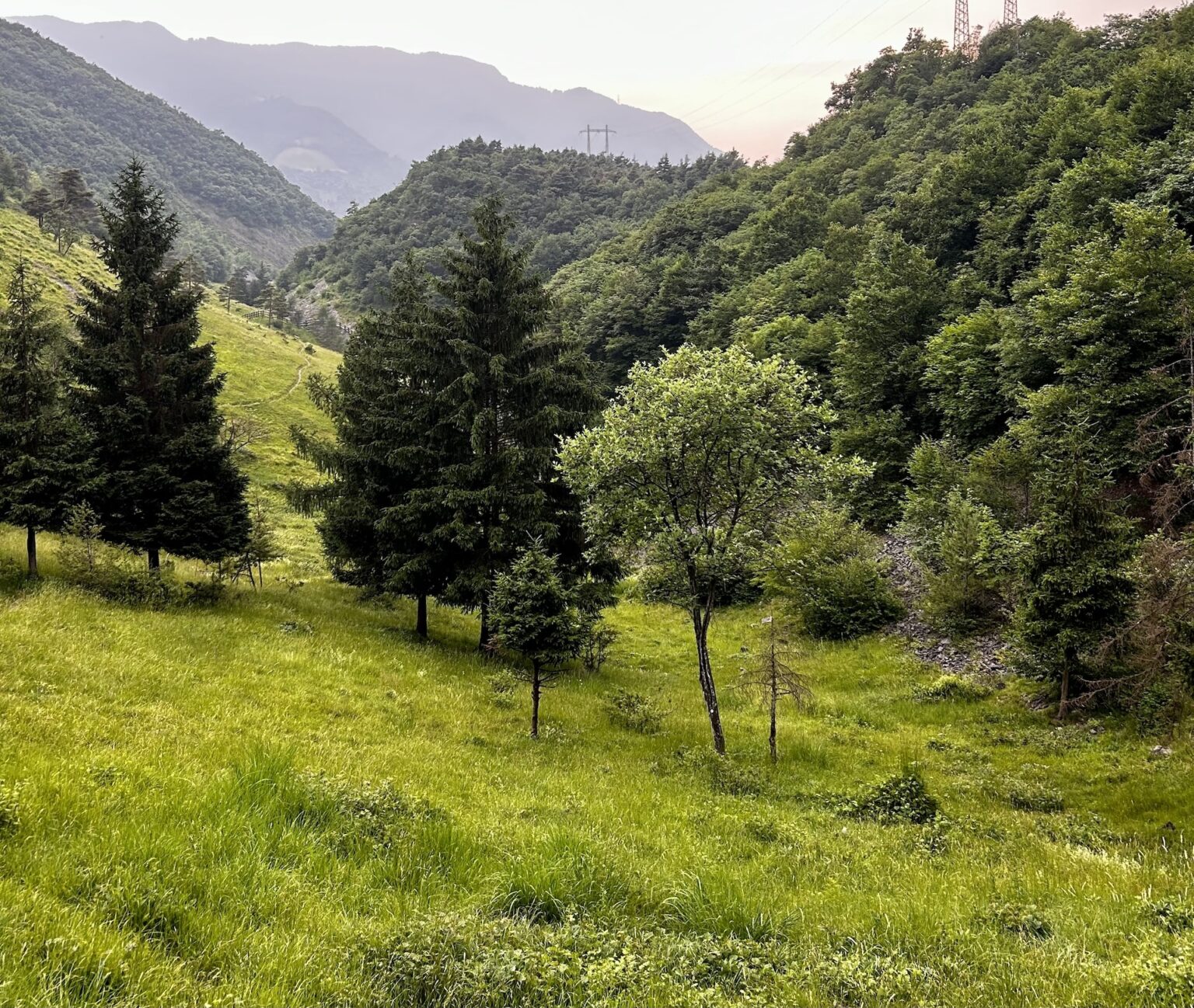 L'asta di arte italiana di Christie's “Thinking Italian” arriva a ...