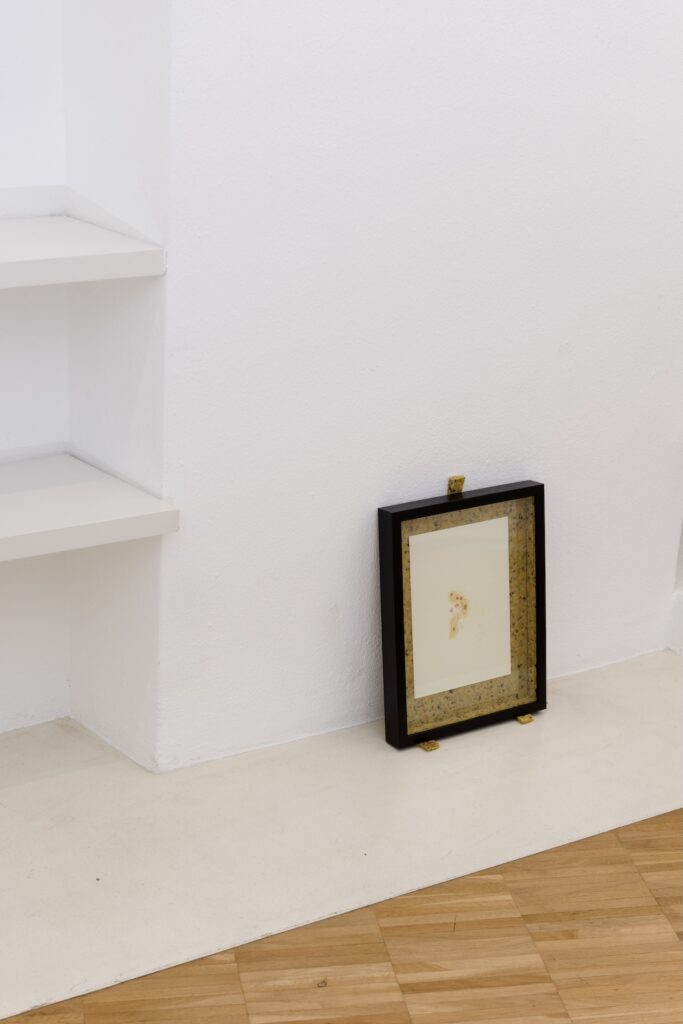 Intervista all’artista Francesca Brugola | Artribune