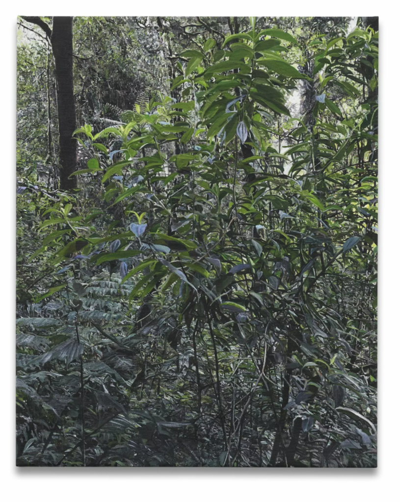 La mostra di Haley Mellin al Museo Novecento Firenze | Artribune
